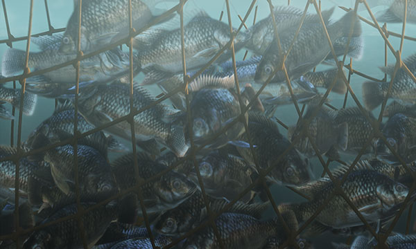 Superbook Episode Guide